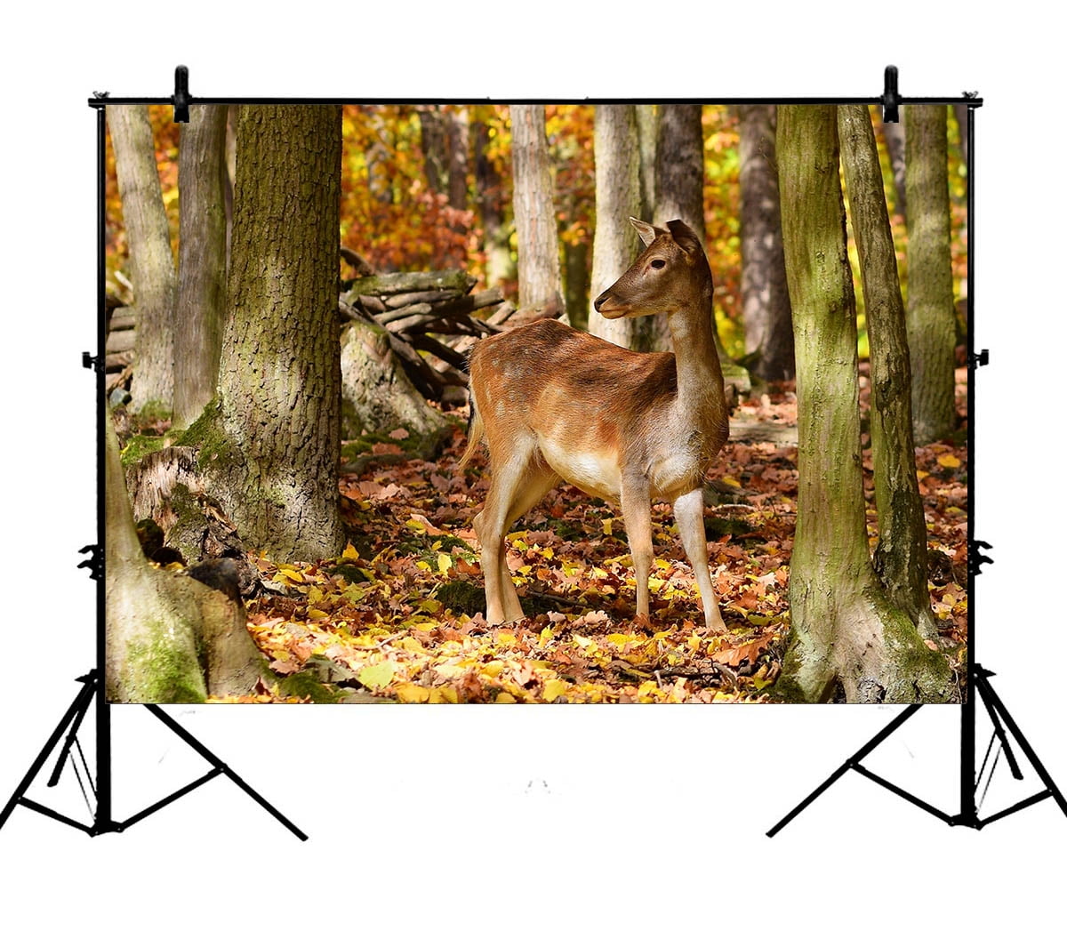 YKCG 7x5ft Autumn Nature Scenery Fall Forest Deer Photography Backdrops ...