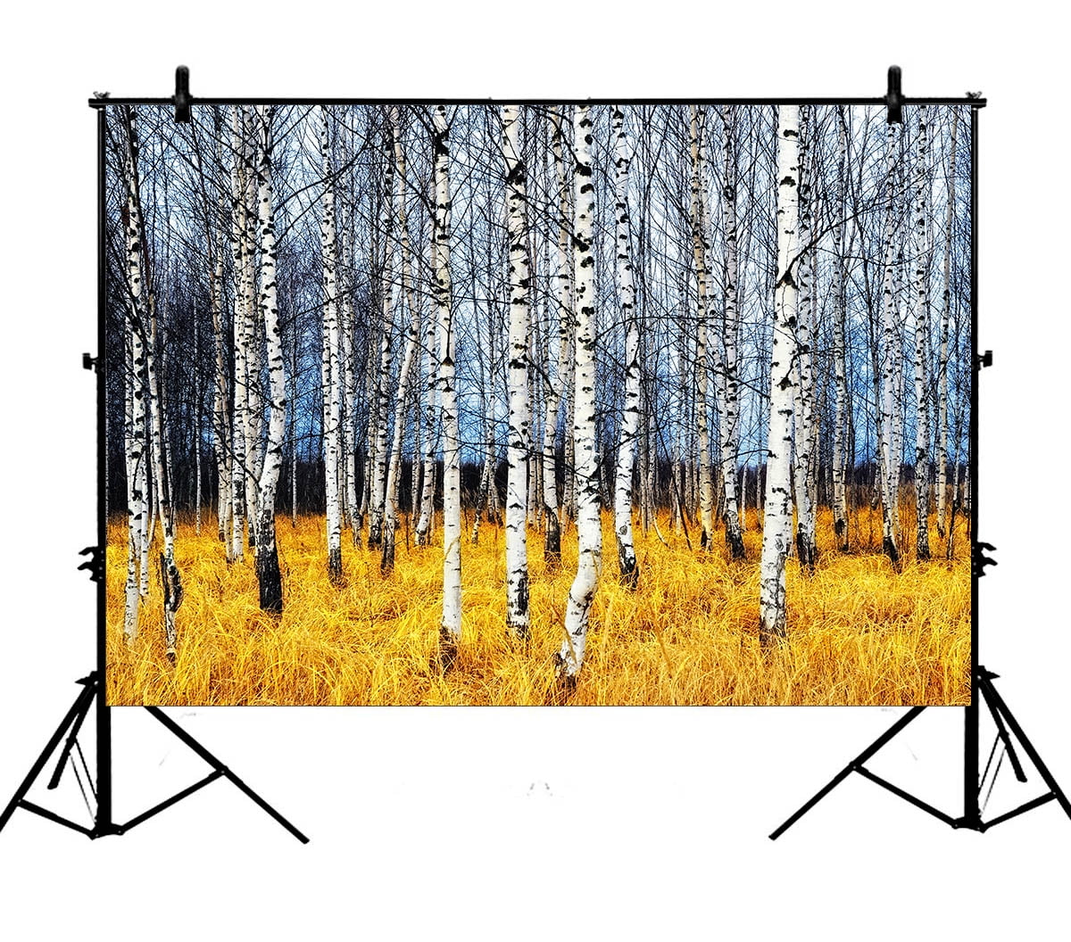 YKCG 7x5ft Birch Tree of Life Autumn Birch Grove among Orange Grass ...