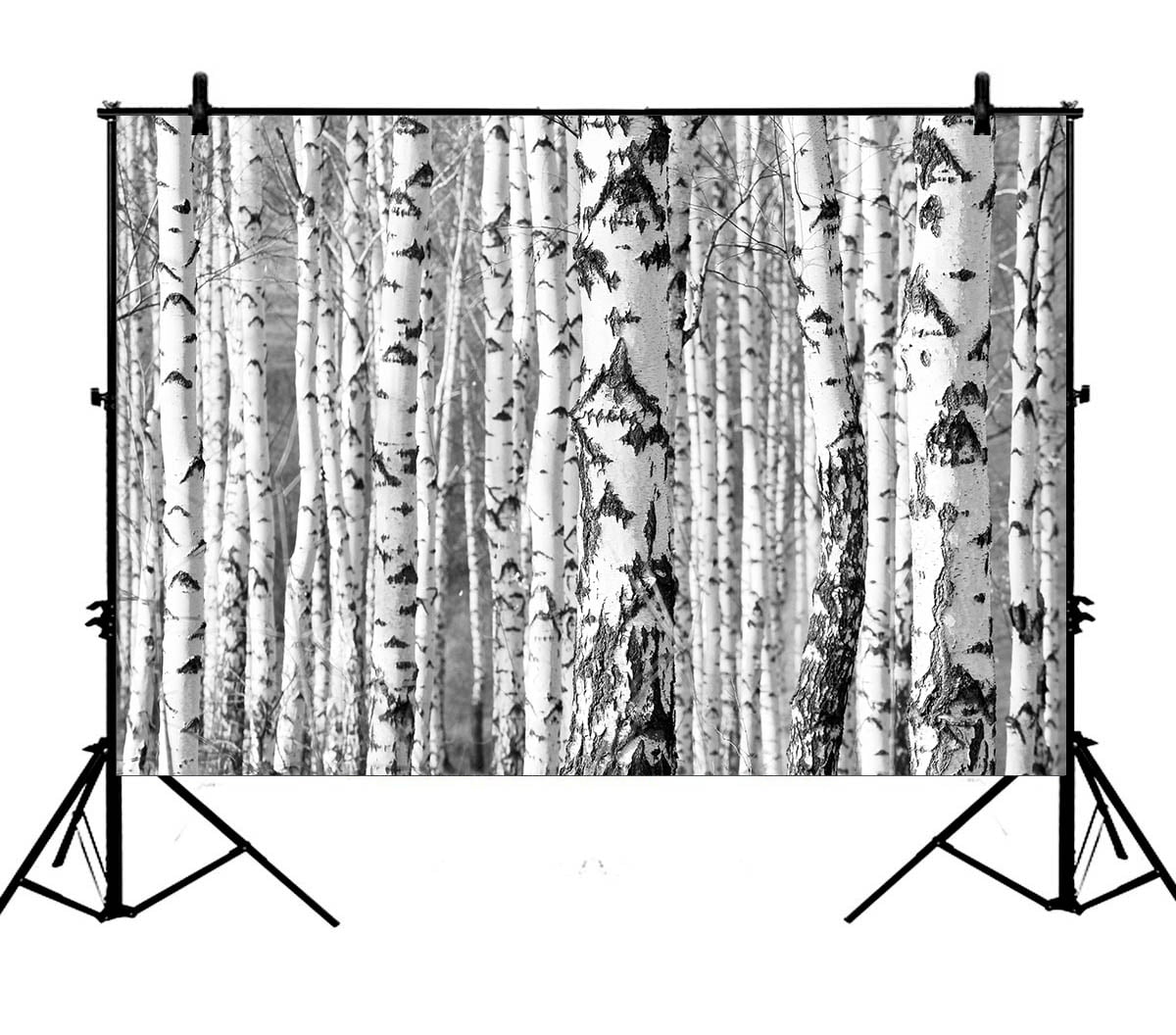 YKCG 7x5ft Birch Trees Trunks Photography Backdrops Polyester ...