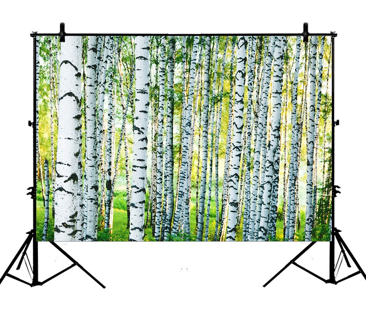 YKCG 7x5ft Green Birch Tree of Life Summer Birch Grass in Forest ...