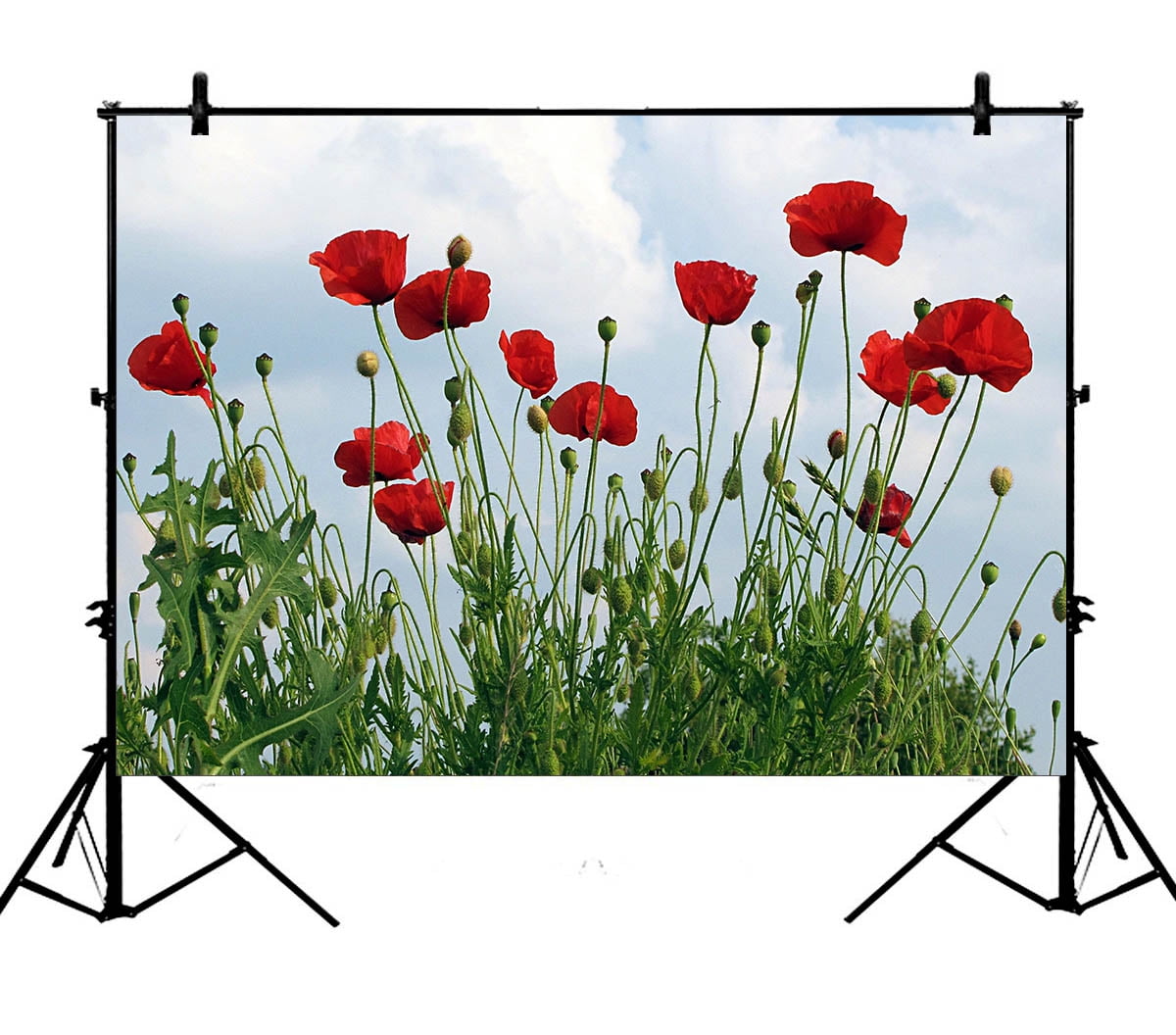 YKCG 7x5ft Red Poppies Photography Backdrops Polyester Photography ...