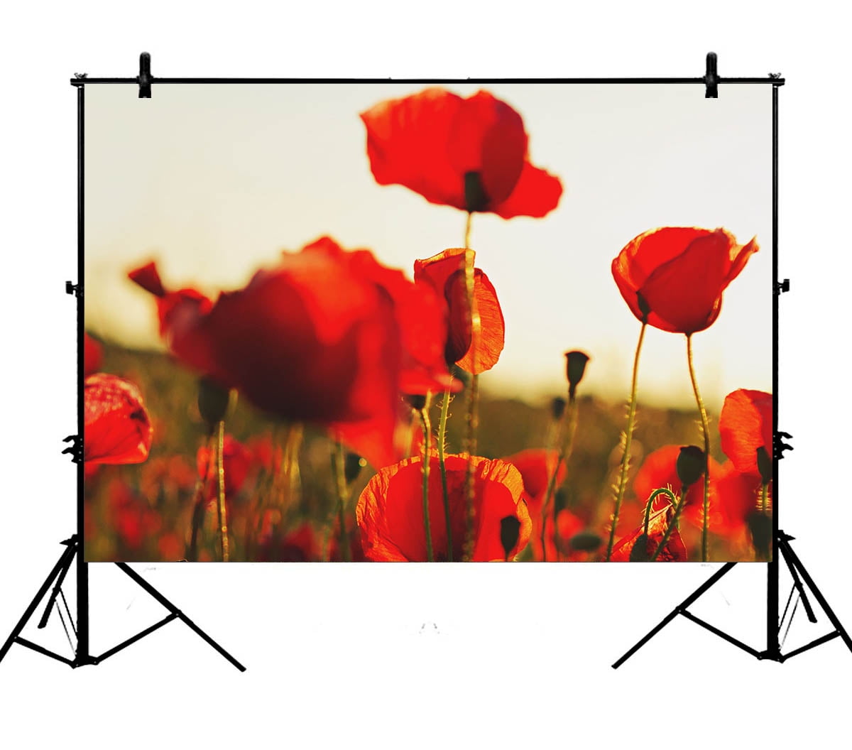 YKCG 7x5ft Red Poppy Wheat Photography Backdrops Polyester Photography ...