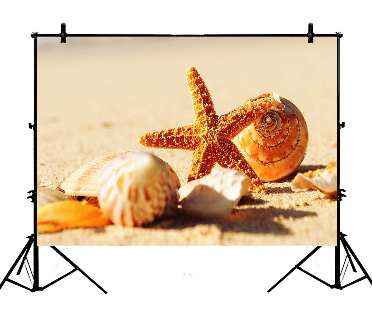 YKCG 7x5ft Tropical Island Sandy Beach Seashell Starfish Photography ...