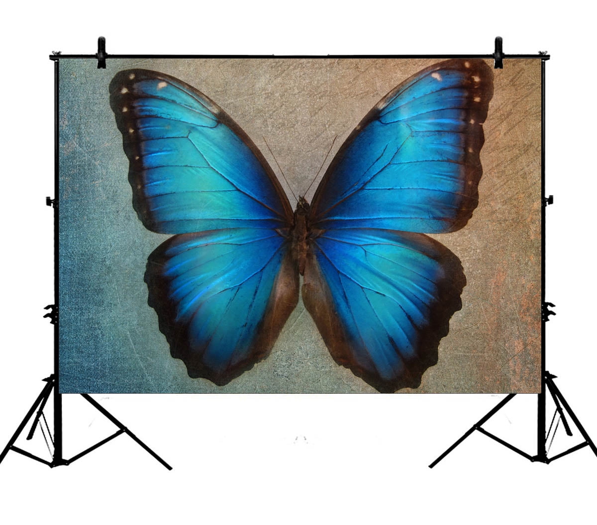 YKCG 7x5ft Vintage Blue Butterfly Photography Backdrops Polyester ...