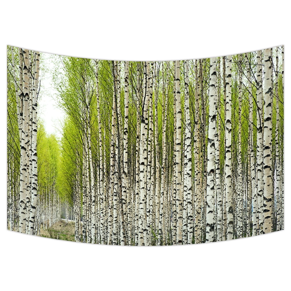 YKCG Green Birch Tree Bare Birch Trees with Fresh Green Leaves in ...
