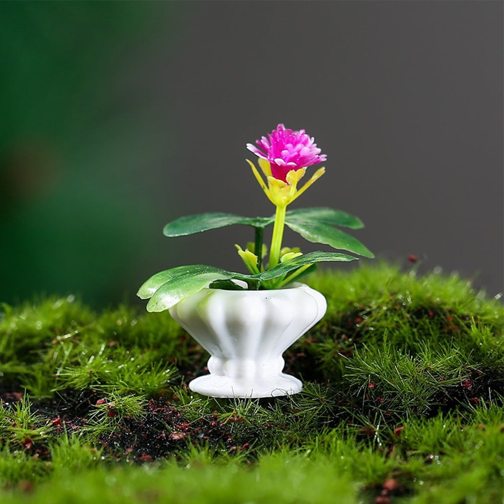 YLLSF Mini Plant model Gardening Micro-landscape Ornaments and ...