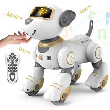 21-884 - SCARAB ROBOT KIT - Walmart.com