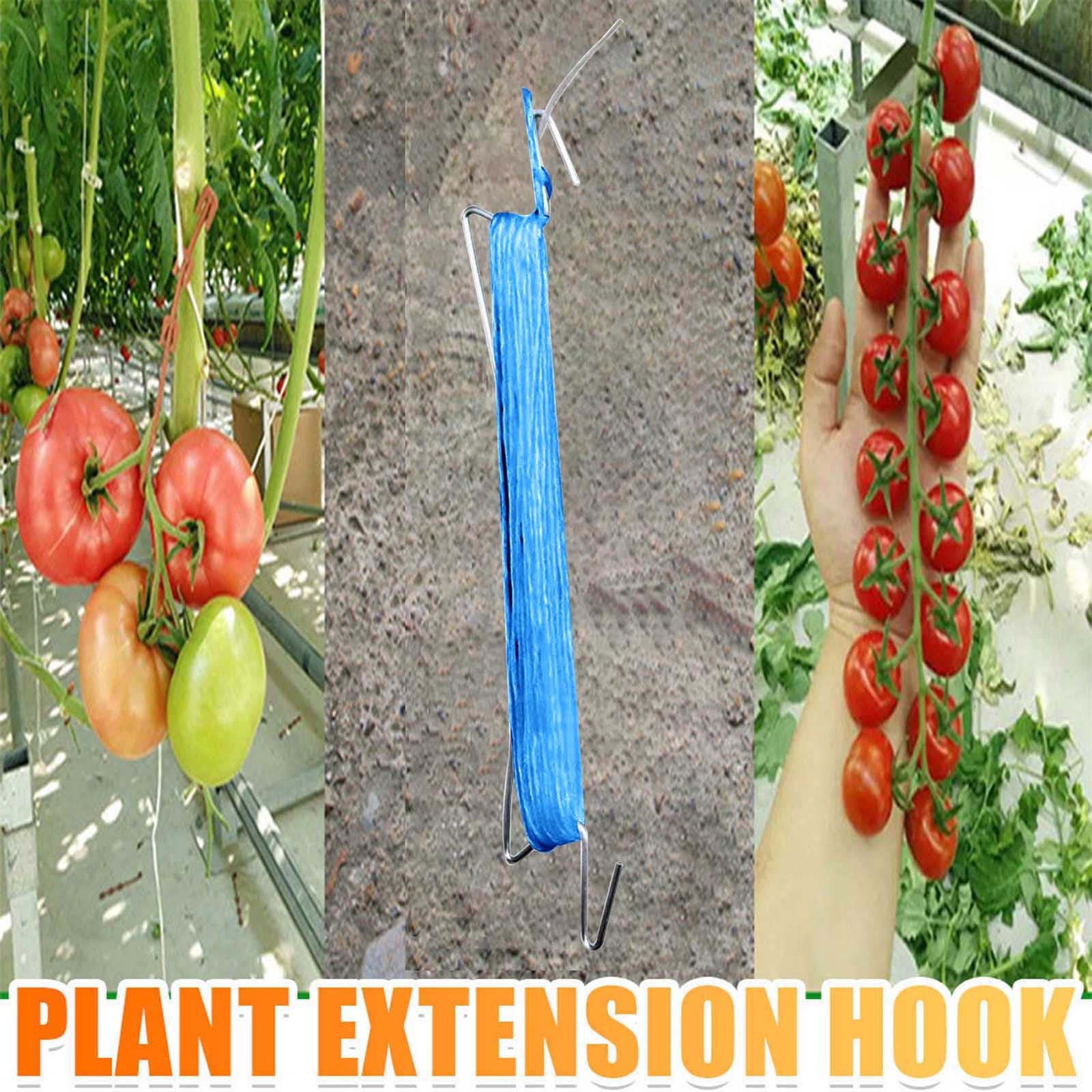 YMARPT Tomato Support Hooks, Plant Support Clips, Tomato Hooks with ...