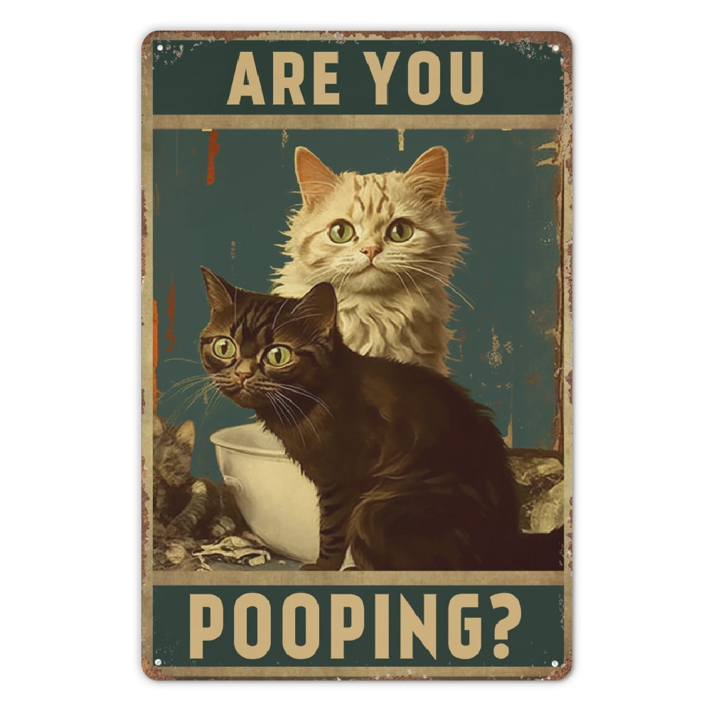 YNLLOOFA Retro Tin Sign Vintage are You Pooping Restroom Wall Toilet ...