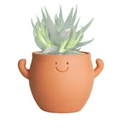 Mr Planter