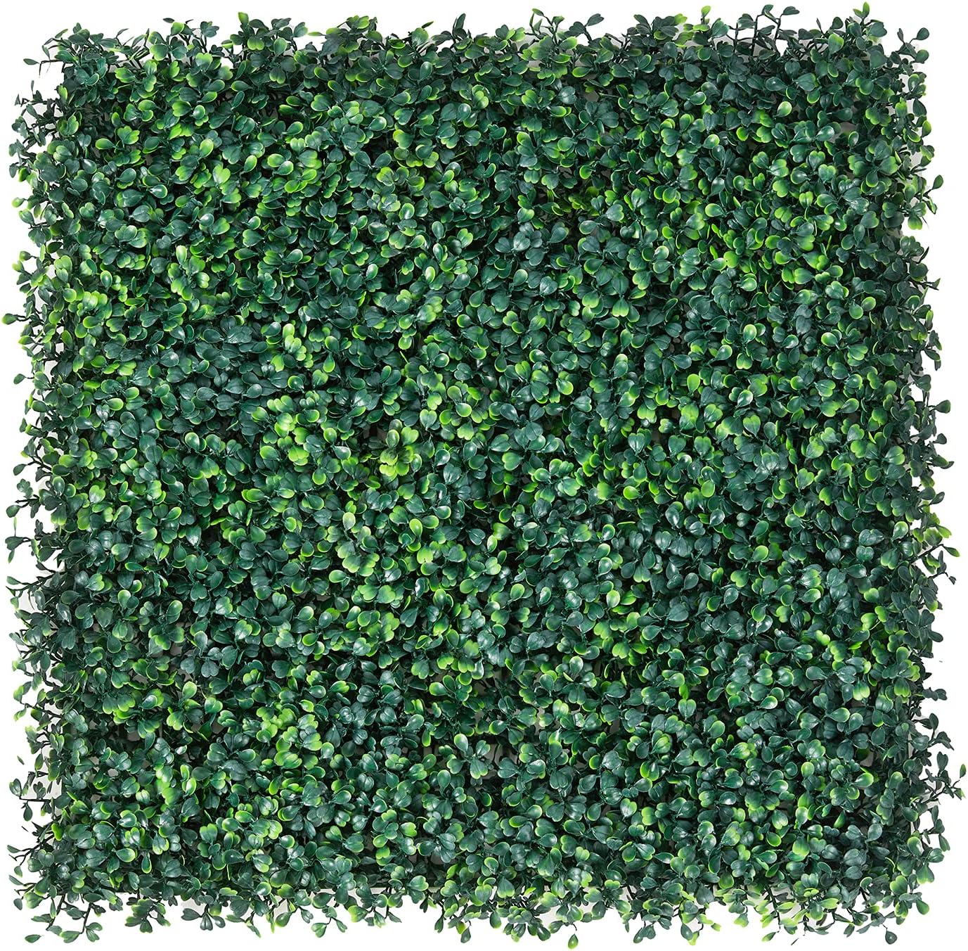 3rd Street Inn Square Boxwood Hedge Wall - Outdoor Artificial Privacy ...