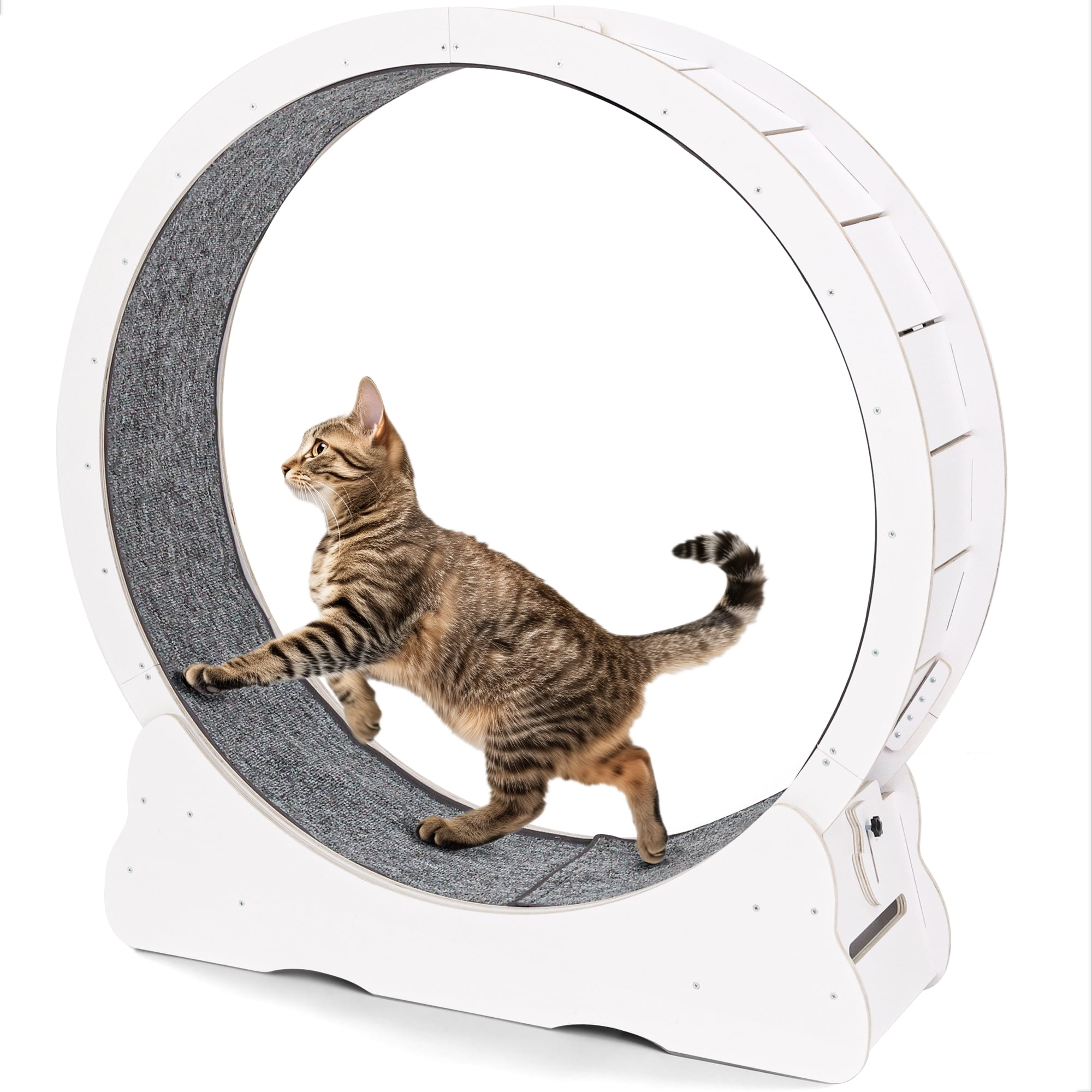 YODOLLA 31.5” Cat Treadmill Cat Exercise Wheel with Nonslip Carpet Cat ...