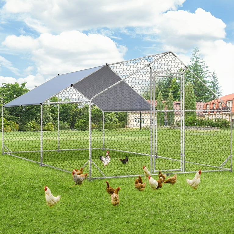 Chain Link Fence Chicken Run Proper Chicken Runs Give Peace Of Mind