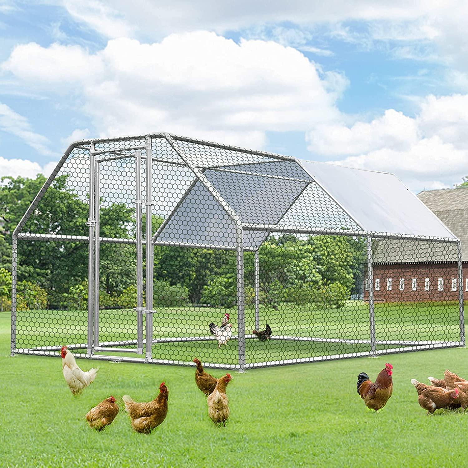 Best Choice Products 3x50ft Poultry Netting, 1/2in 19-Gauge Galvanized ...