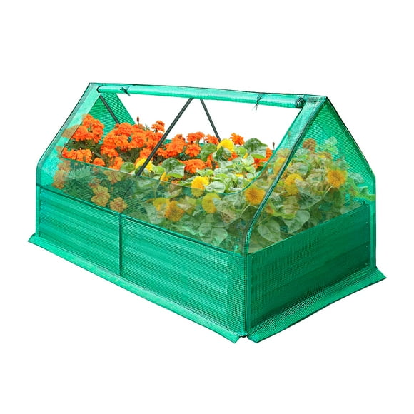 Mini Greenhouse Box