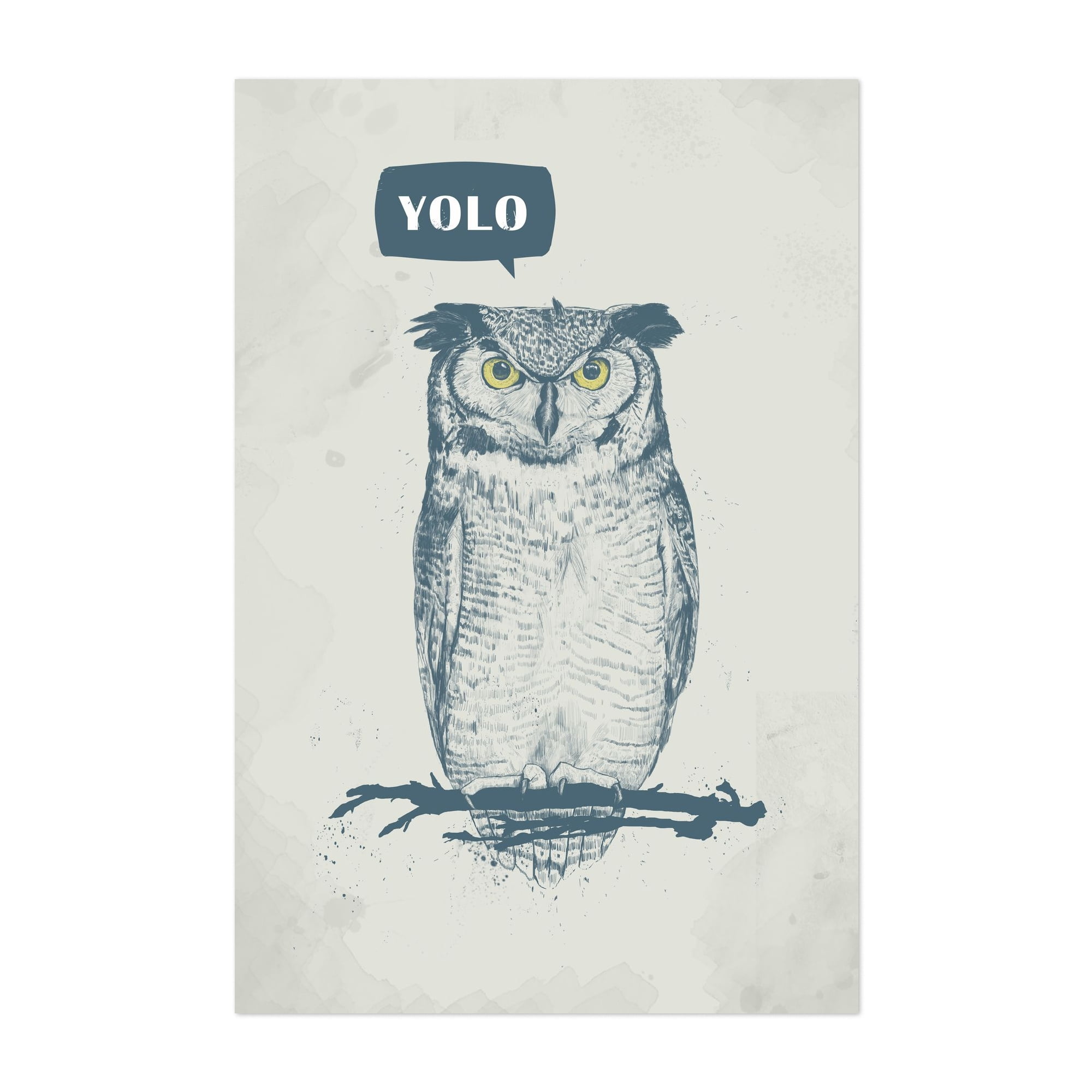 YOLO - Illustration Humor Animal Wildlife Quote Bird Typography ...