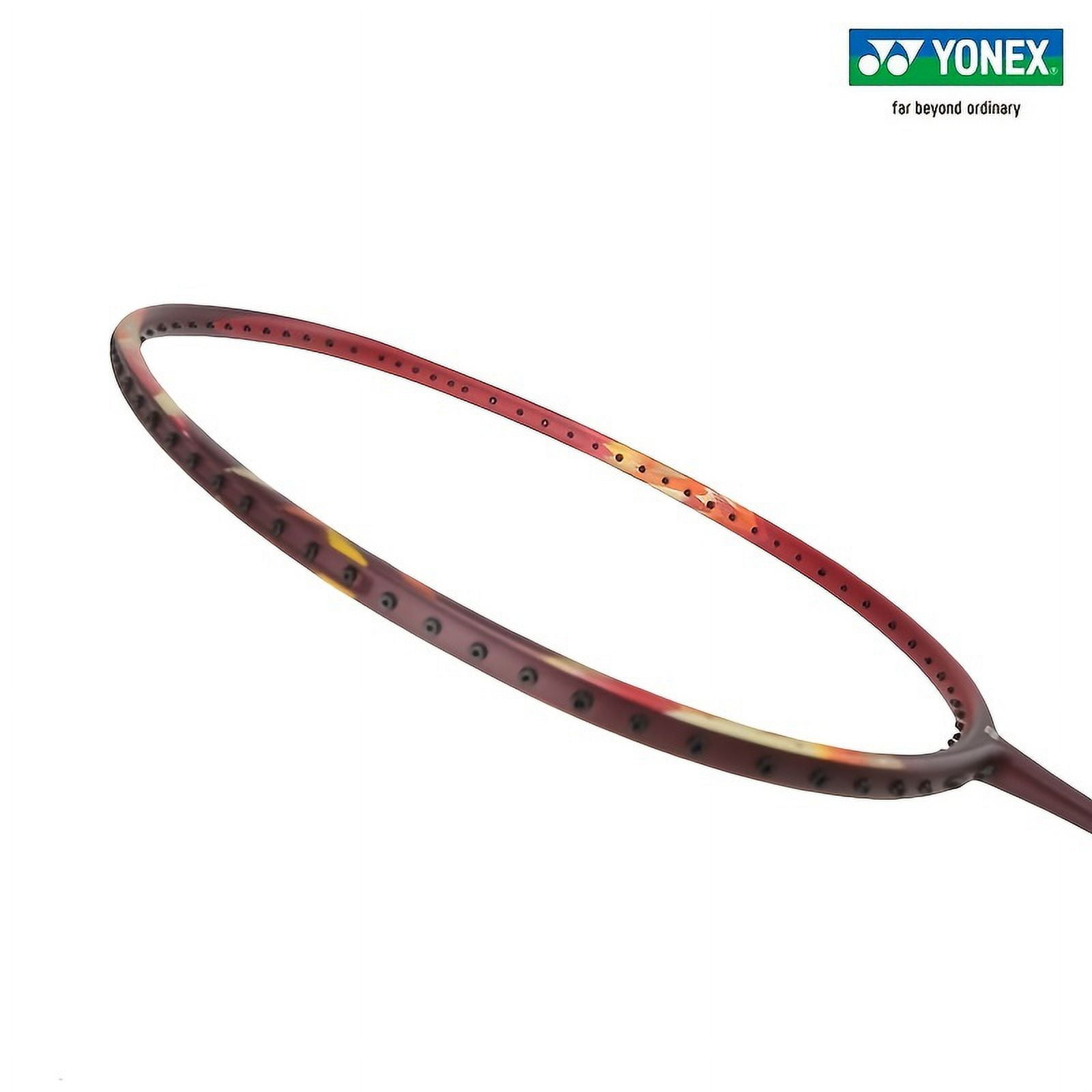 YONEX Full Carbon Lightweight Badminton AX22RXEX (net Not Included ...