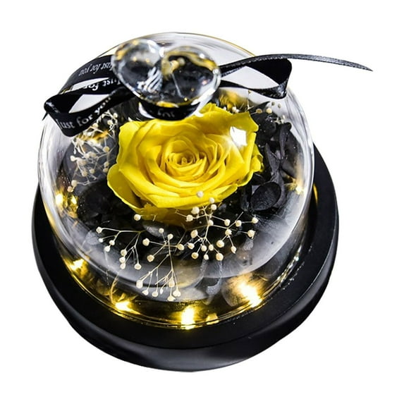 YONGGOOO 2026 New Preserved Real Rose with Led Light Eternal Flowers ...