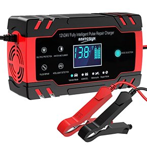 8 Volt Battery Charger