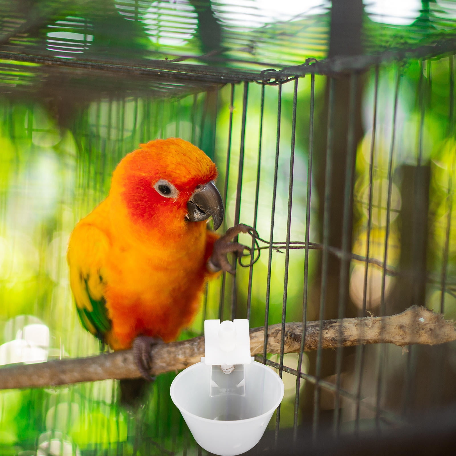 YOSADIER 10Sets Quail Water Feeder Automatic Chicken Water Lightweight ...