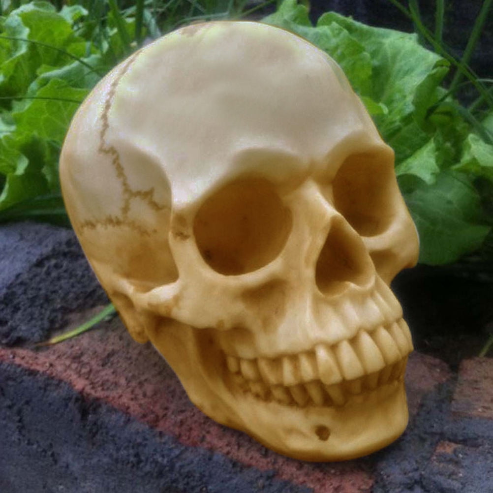 YOSADIER 1Pcs Skeleton Human Skull Prop Plastic Resin For Adults Scary ...