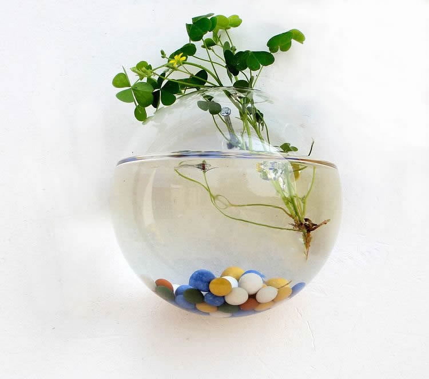 YOTQUSKI Clear Glass Flower Vases,Creatives Wall Hanging Vase Semi ...