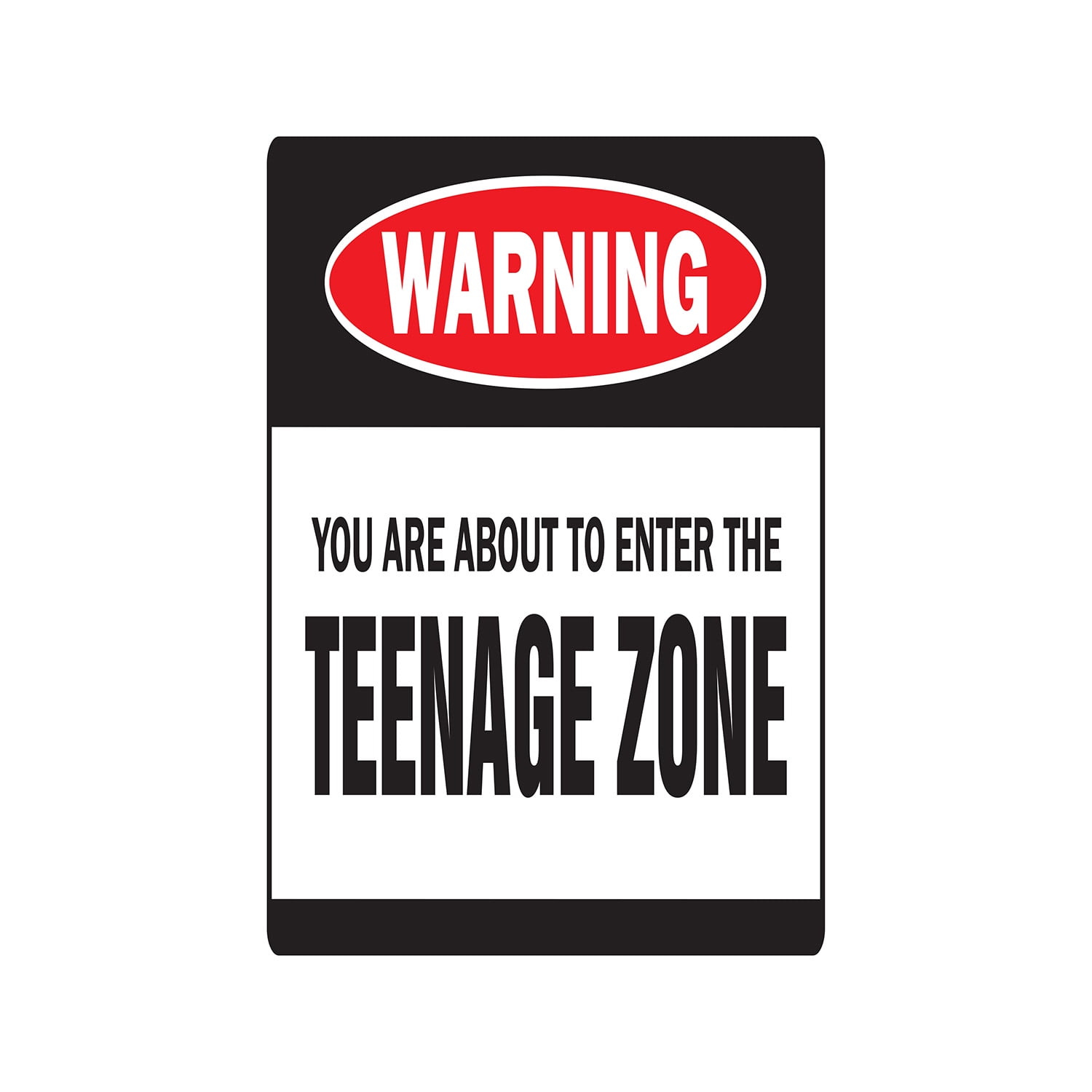 YOU ARE ABOUT TO ENTER THE TEENAGE ZONE Warning Decal children kids ...