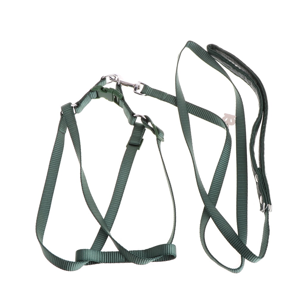 YROHGKPN Bird Harness Soft Hamster Flying Vest Adjustable Easy Control ...