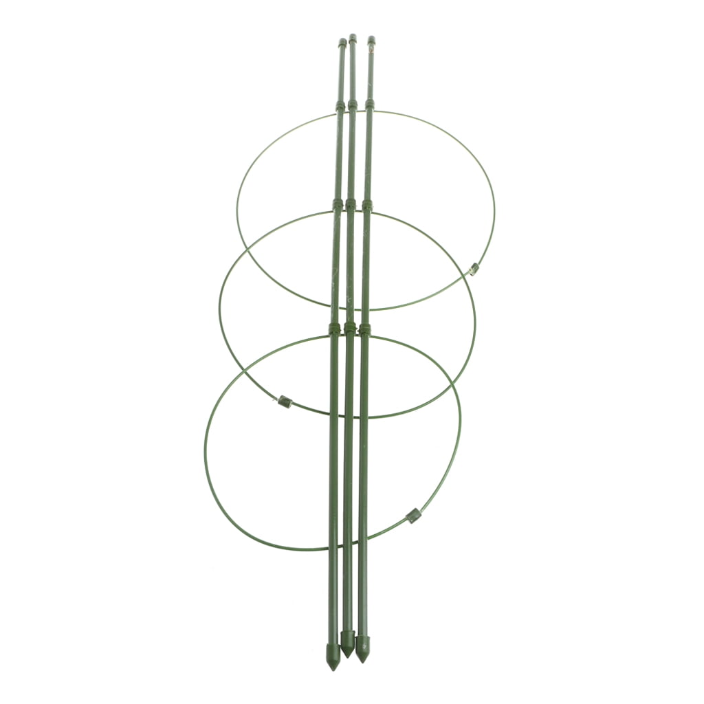 YROHGKPN Plant Support Holder Amaryllis Orchid Lily Rose Tomatoes ...