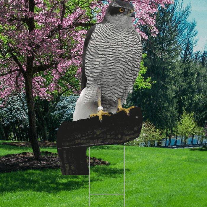YS1013 Hawk Waterproof Coroplast Plastic Yard Sign Lawn Sign - Walmart.com