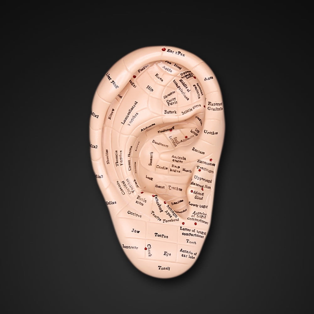 YSGFHGJW Massager, 300pcs Magnetic Ear Patch Auricular Auriculotherapy ...