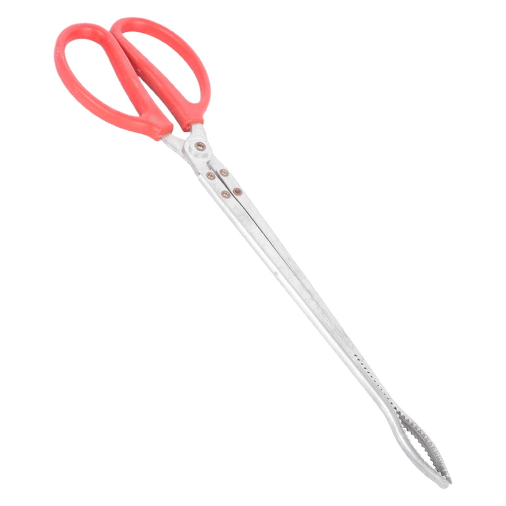 YSNOOWE 1Pcs Food Clamp for Cleaning Outdoor Exploration Fish - Walmart.com