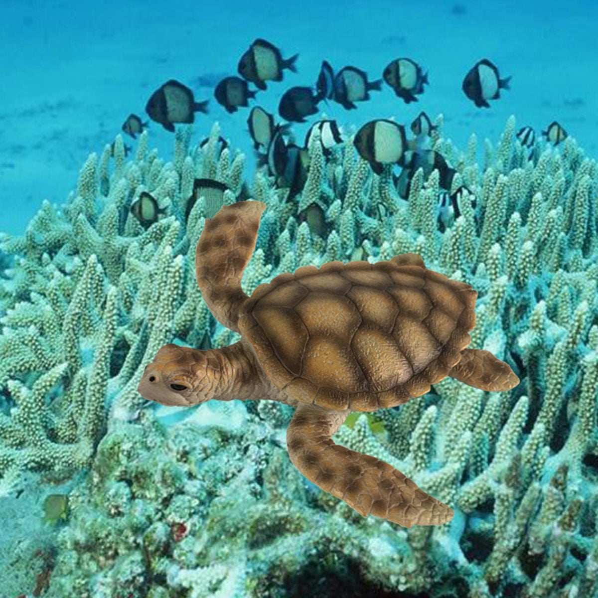 YSNOOWE 4Set Sea Turtle Toys Realistic Turtle For Kids 12.0x5.1x1.2in ...