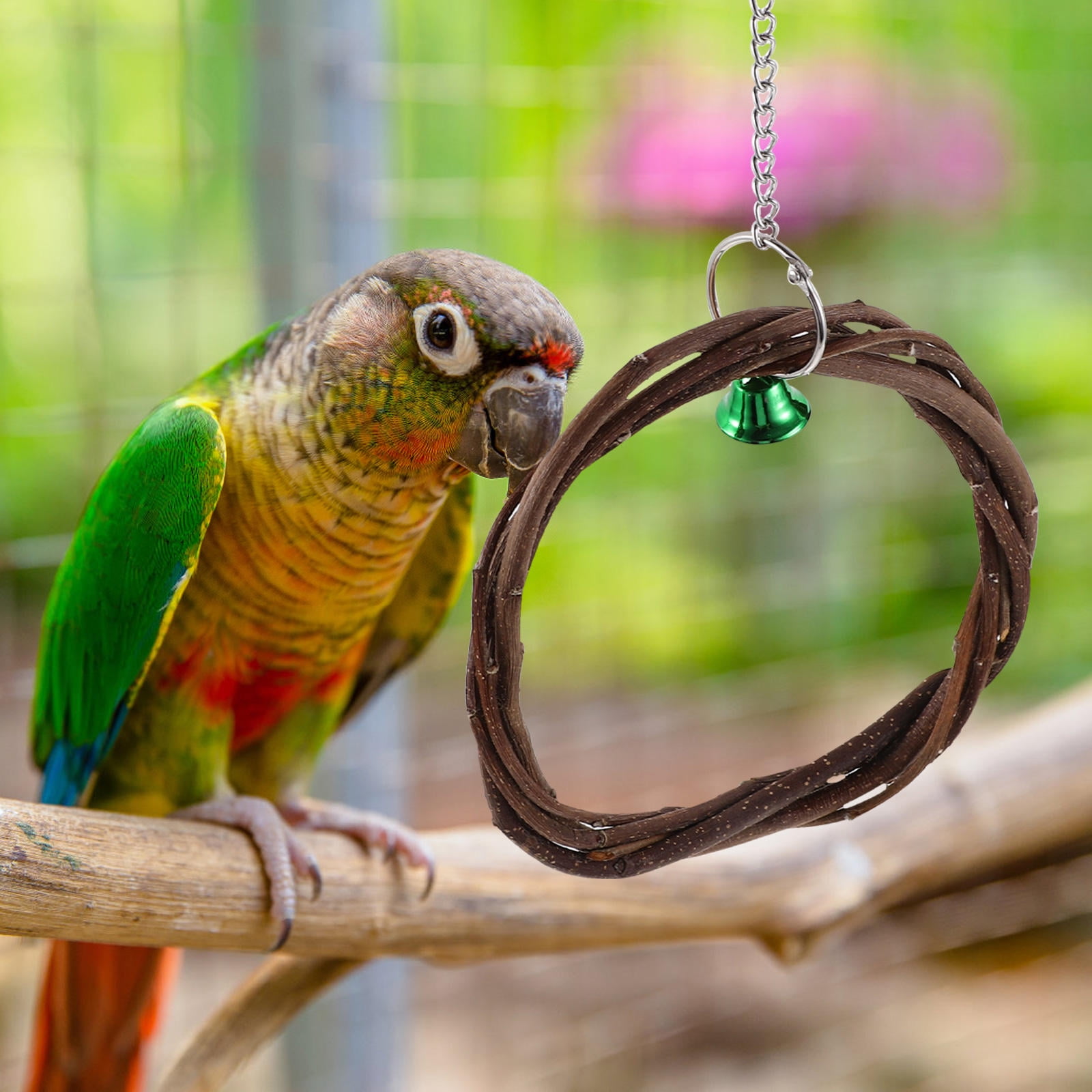 YSNOOWE Parrot Rings Bird Swing Braided Ring Design for Bird ...
