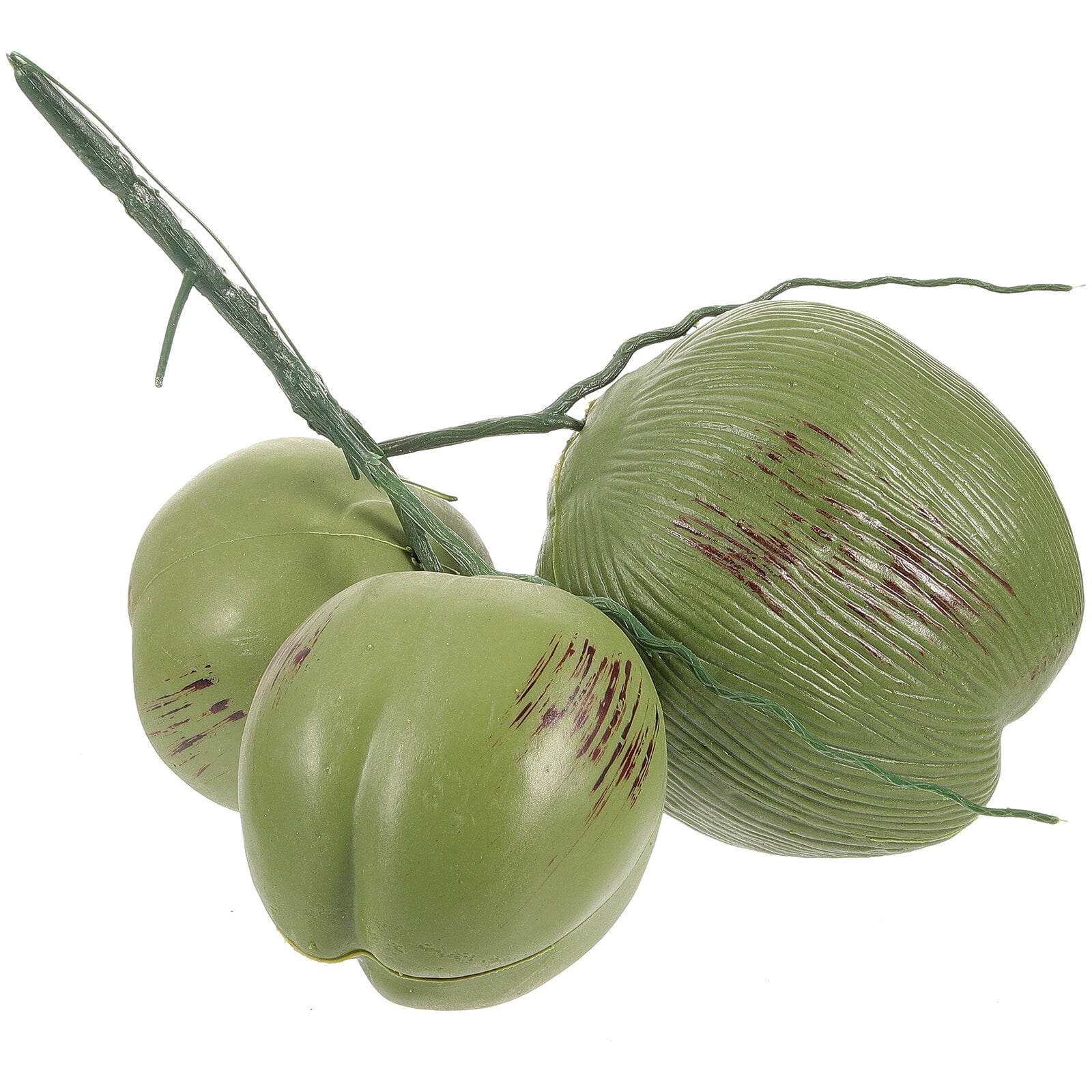 YSNOOWE Prop Coconut for Tropical Events 1 Bunch (3 Coconuts, 1 Large ...