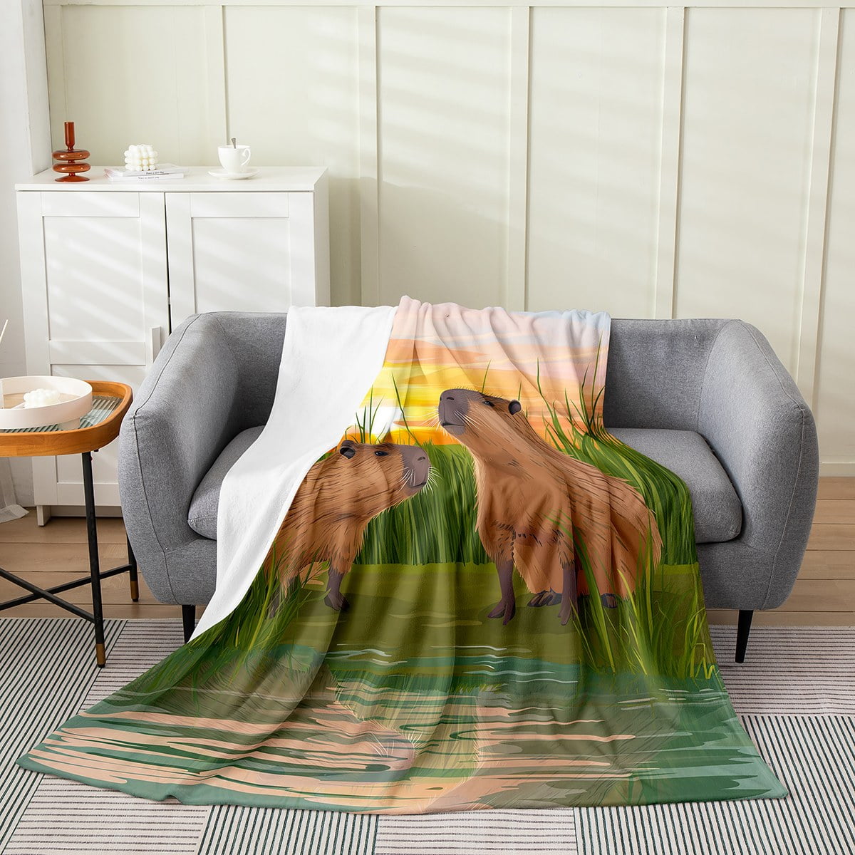 YST Capybara Blanket, Cartoon Capybara Throw Blanket Baby 30x40, Kids ...