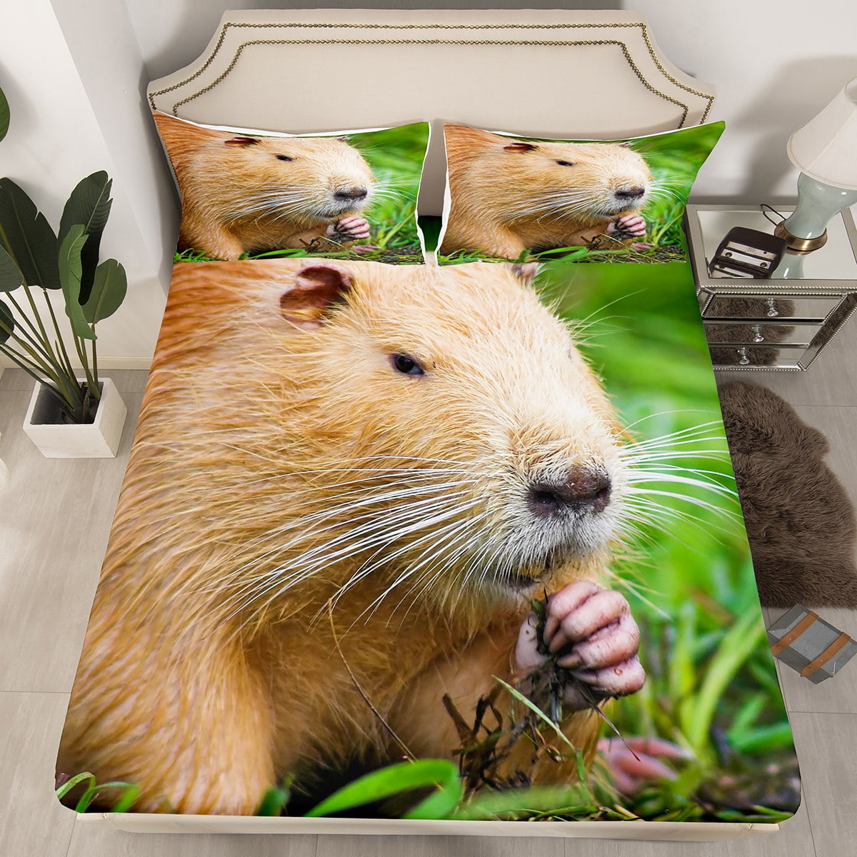 YST Capybara Sheets for Boys Youth Girls Kawaii Animal Sheets Twin ...