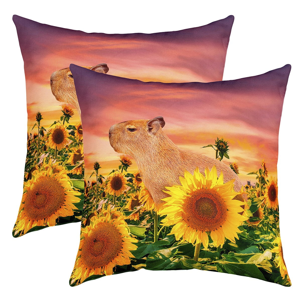 Cute Capybara Throw Pillow Covers,Funny Capybaras Cushion Covers 20x20 ...