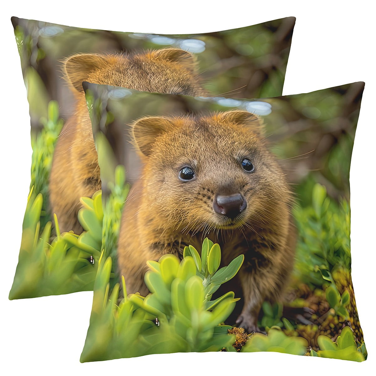 Pack of 2 Capybara Throw Pillow Covers Kawaii Cute Capybara Pillow ...