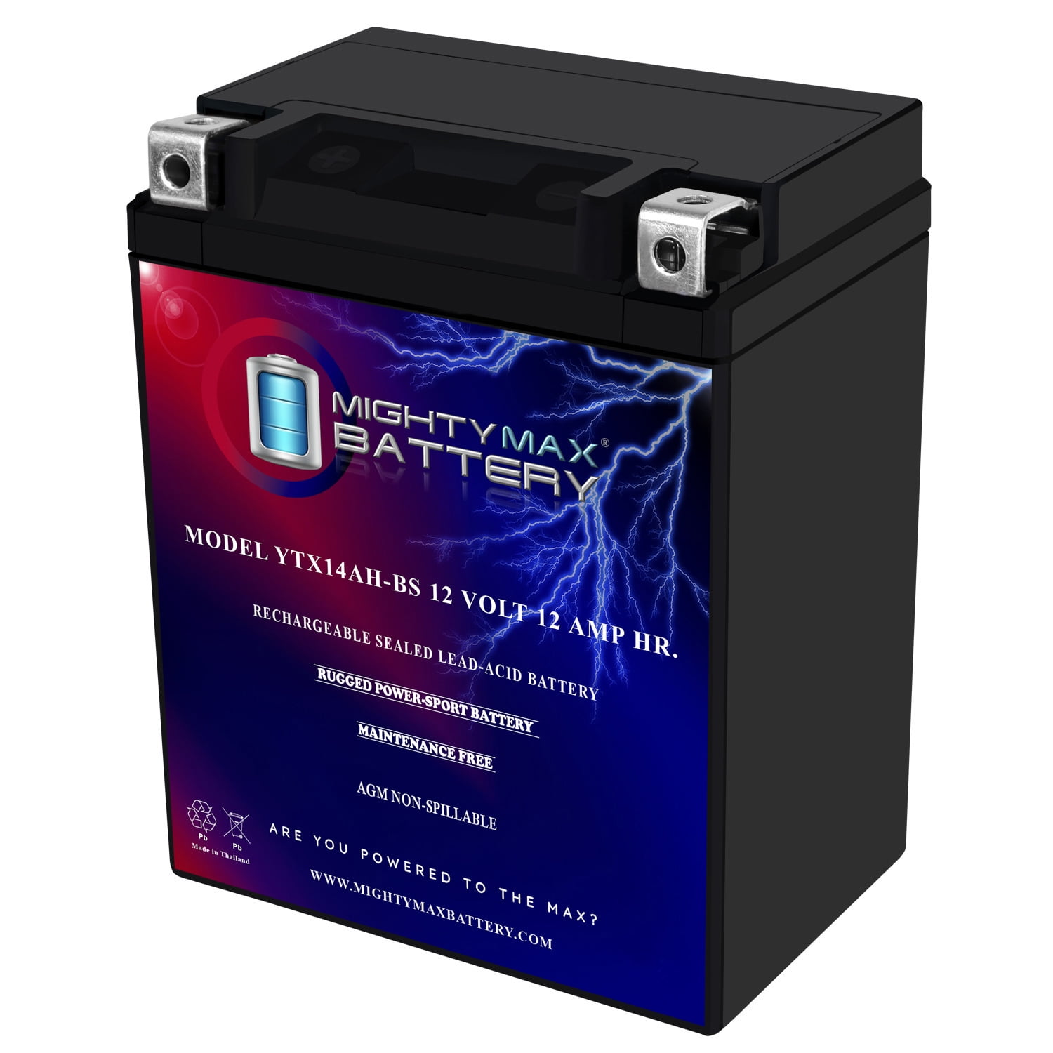YTX14AH-BS 12V 12Ah Battery for Polaris 4140006, 4140007 - Motorcycle ...