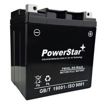 PowerStar YTX30L-BS Battery Replaces GS-JSB-YGIX30, GS-ZYI-YGIX30 ...