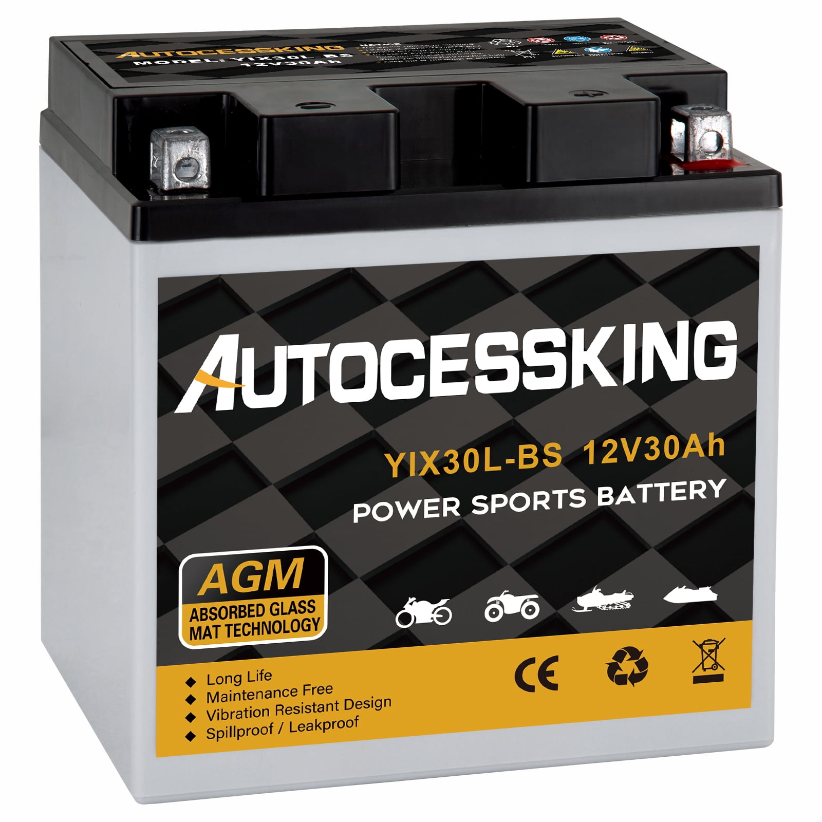 YTX30L-BS 12V 30AH UTV/Motorcycle Battery, Rechargeable Maintenance ...