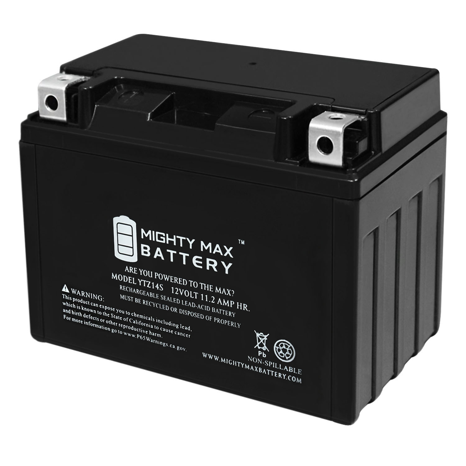 EverStart Premium AGM PowerSport Battery, Group Size TX14AH 12 Volt ...