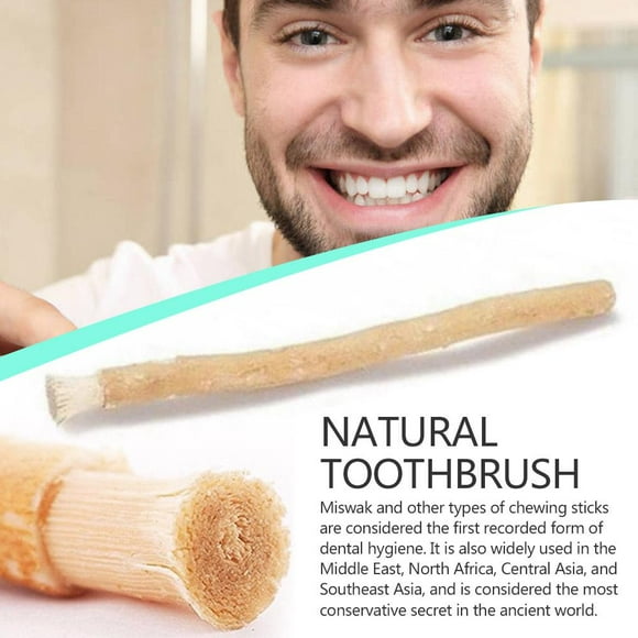 Miswak Sticks For Teeth