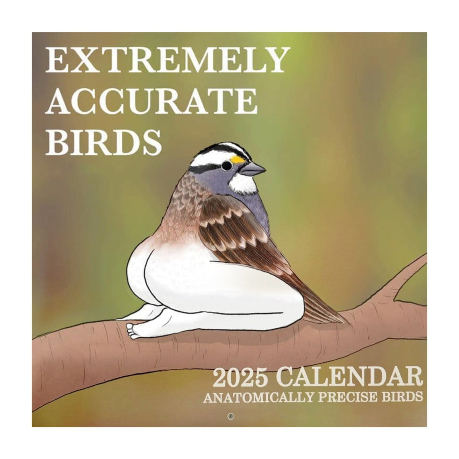 YUEtays 2025 Bird Pattern Desk Calendar Calendar 2025 Bird Pattern Desk ...