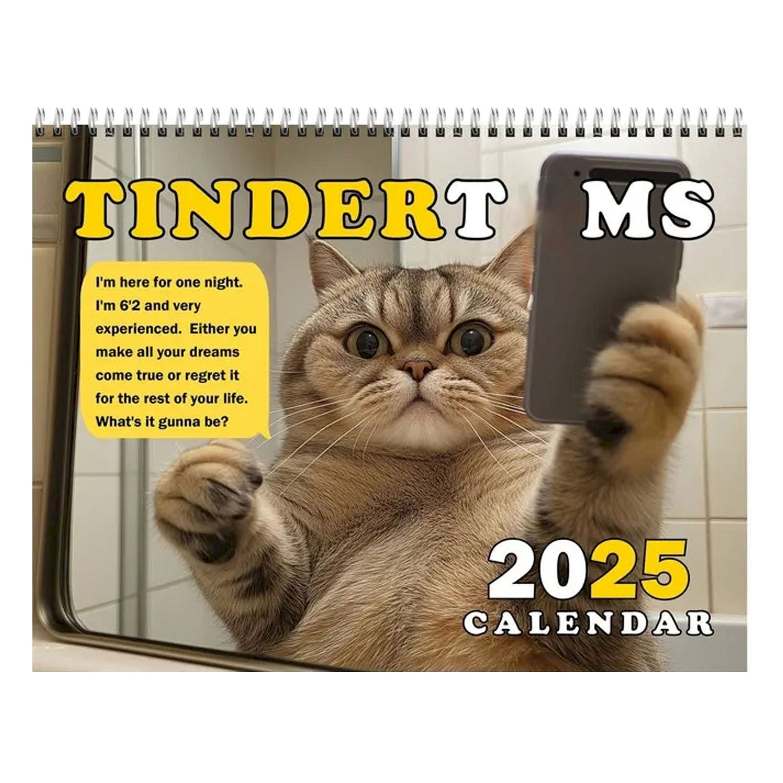 YUEtays Funny Calendar 2025 Cat Dating Calendar 2025 | White Elephant ...
