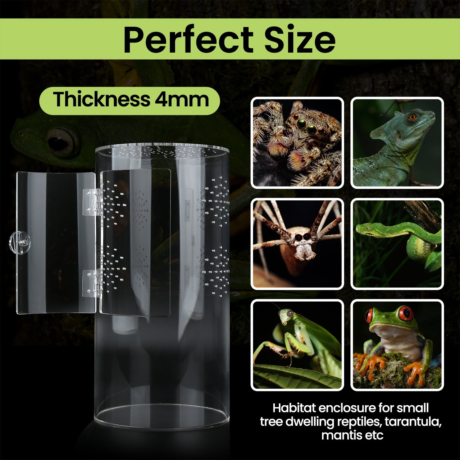 YUNAFFT Front Opening Terrarium Jumping Spider Enclosure,Tall Arboreal ...
