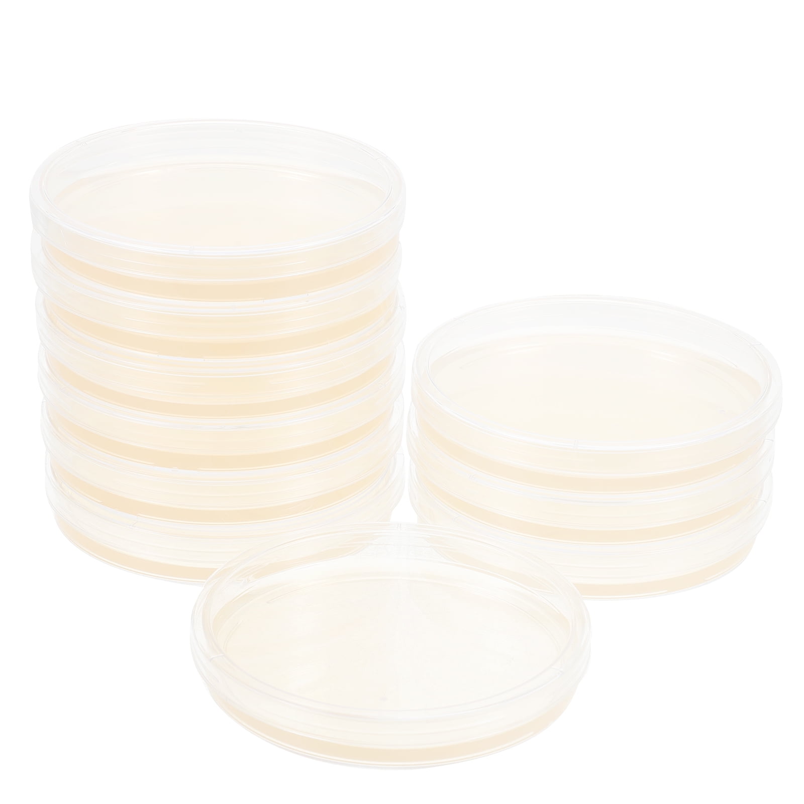 YUNLIGHTS 10pcs Agar Plates Multi Agar Petri Dishes Portable Science ...