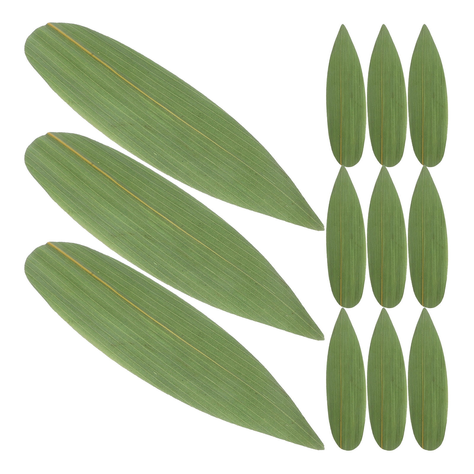 YUNLIGHTS 100 Pcs Sashimi Leaf Bamboo Leaves Decoration Sushi ...