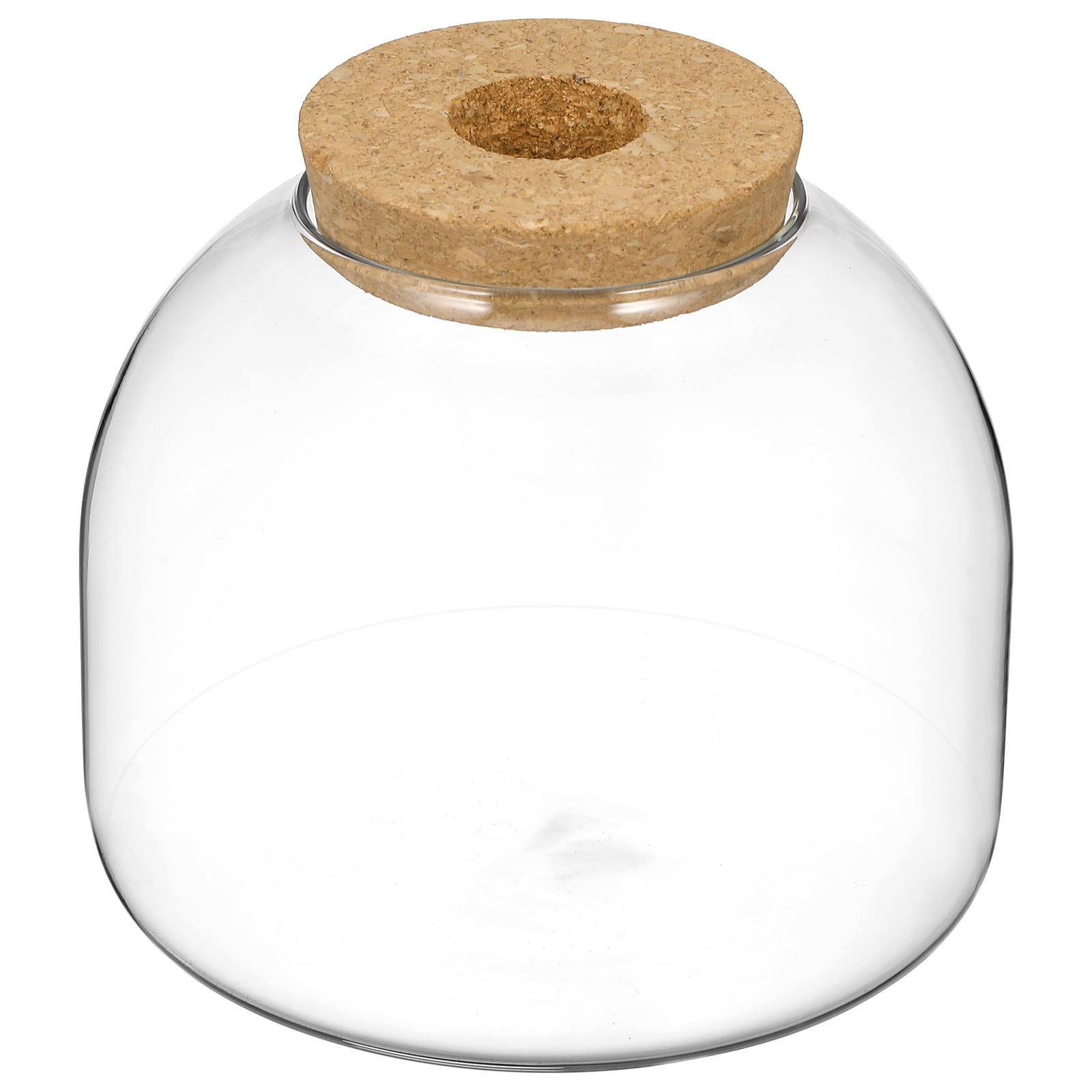 YUNLIGHTS Eco Bottle Ornaments Water Terrarium Mason Jars Plant Pots ...